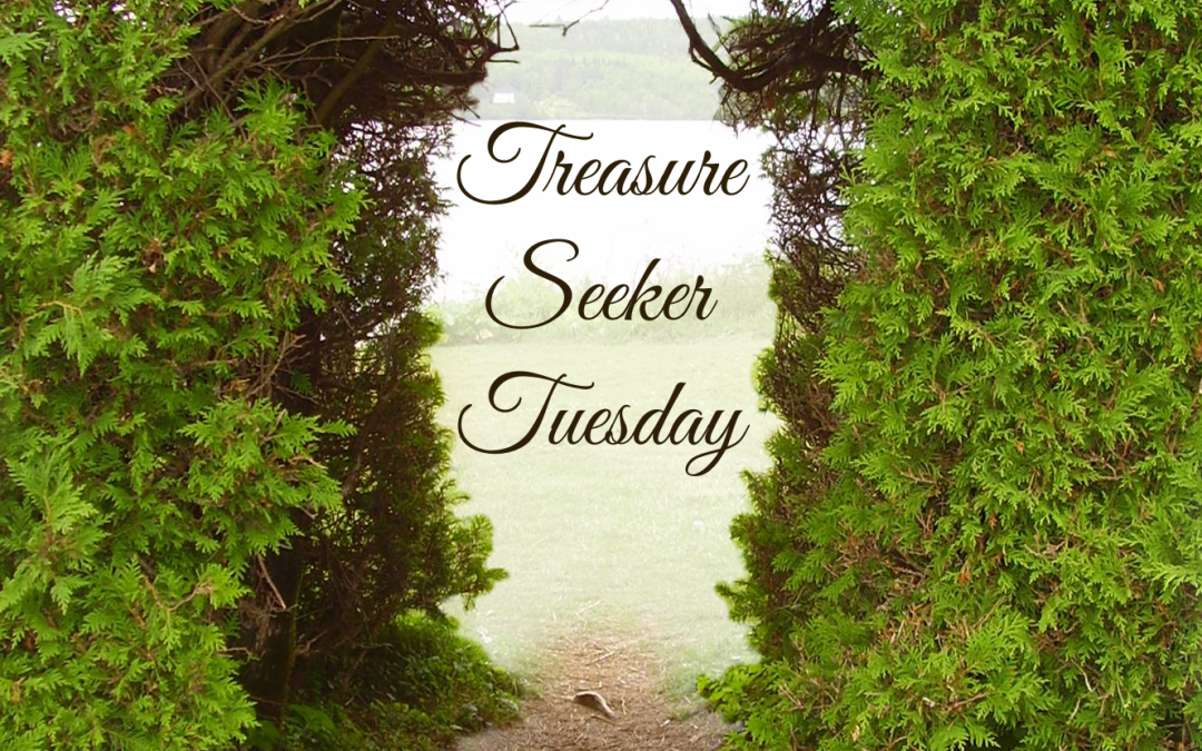 tish hedge vibes font | Tish MacWebber